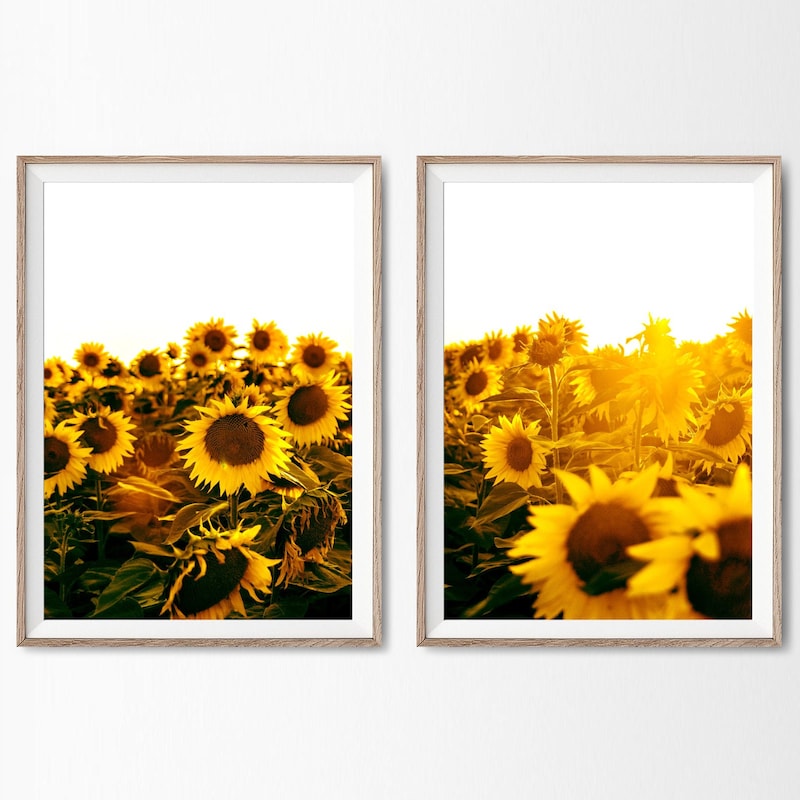 Sunflower Print - Etsy