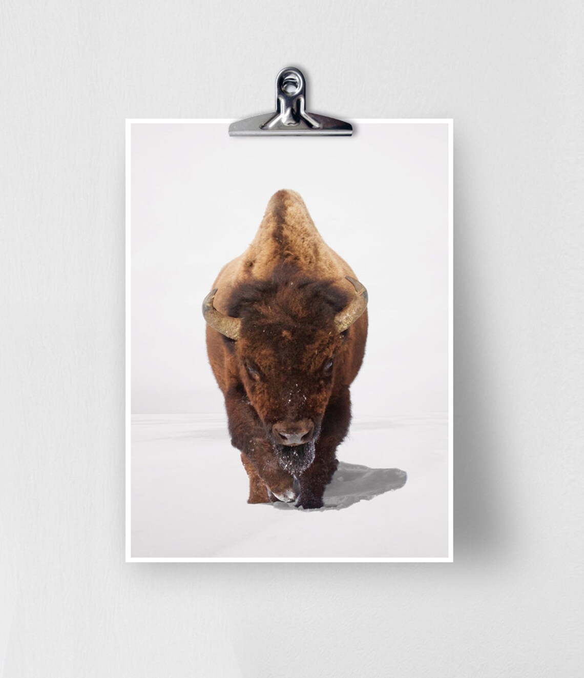 Bison Print Bison Wall Art Wilderness Print Woodlands | Etsy