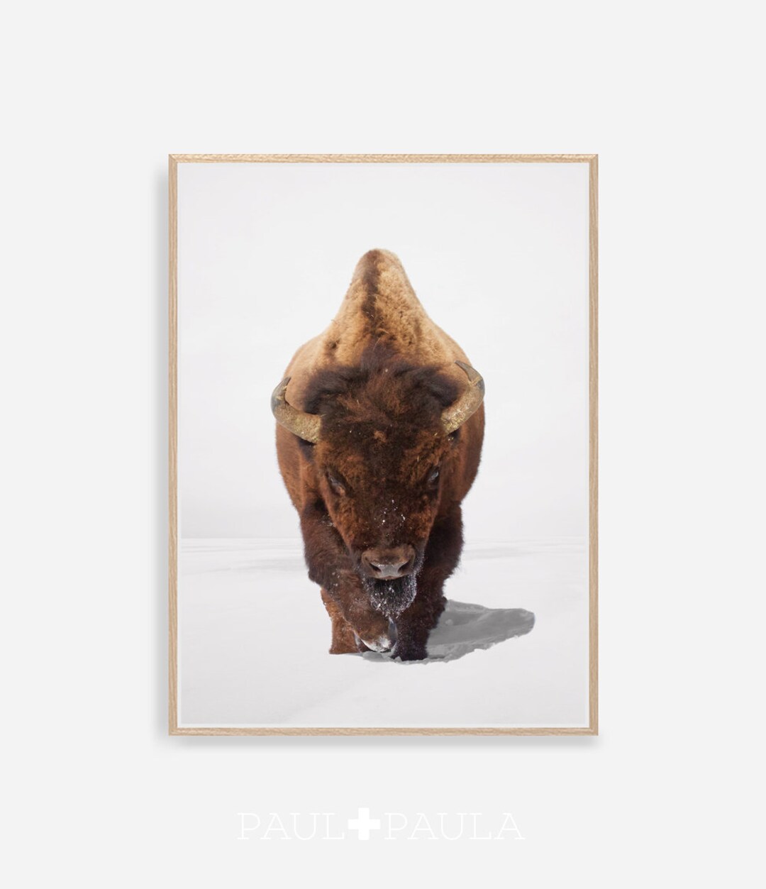 Bison Print, Bison Wall Art, Wilderness Print, Woodlands Print, Animal ...