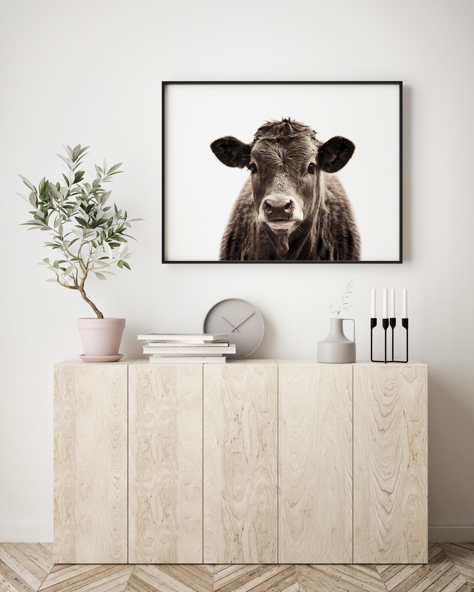 Cow Print Brown Cow Print Animal Photo Animal Poster Farm | Etsy