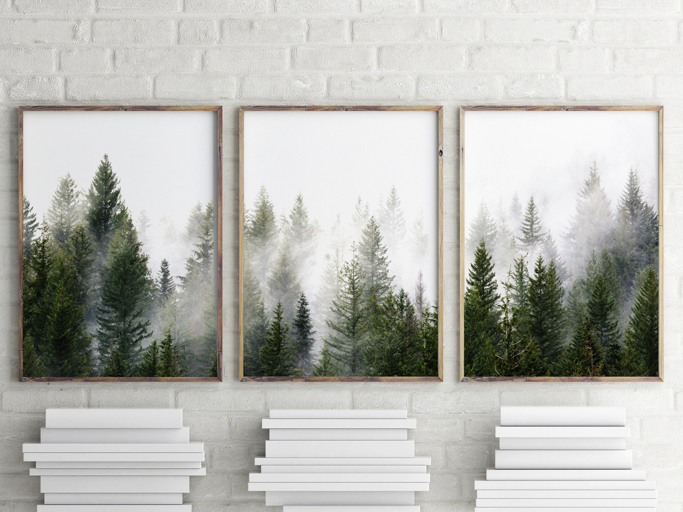 Forest Print Set of 3 Forest Photography 3 Piece Landscape - Etsy