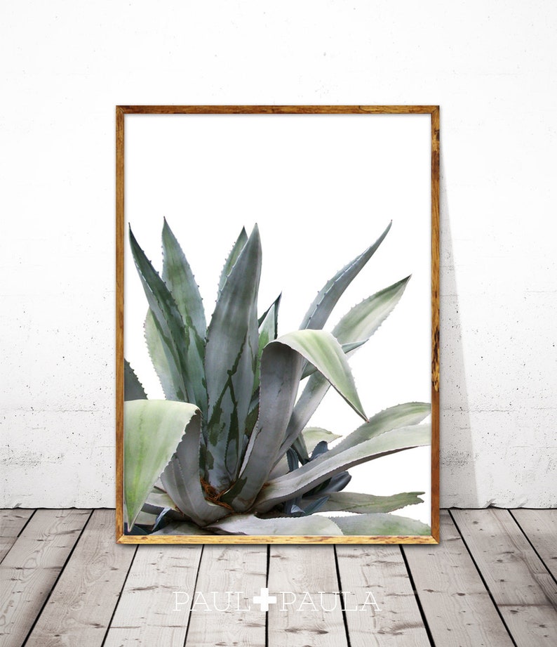Aloe Plant Prints, Aloe Print, Succulent Print, Aloe Vera Poster ...