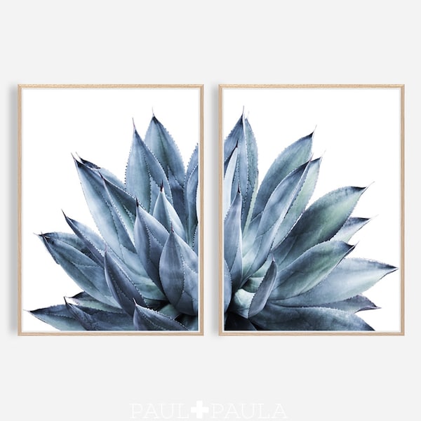 Succulent Print - Etsy