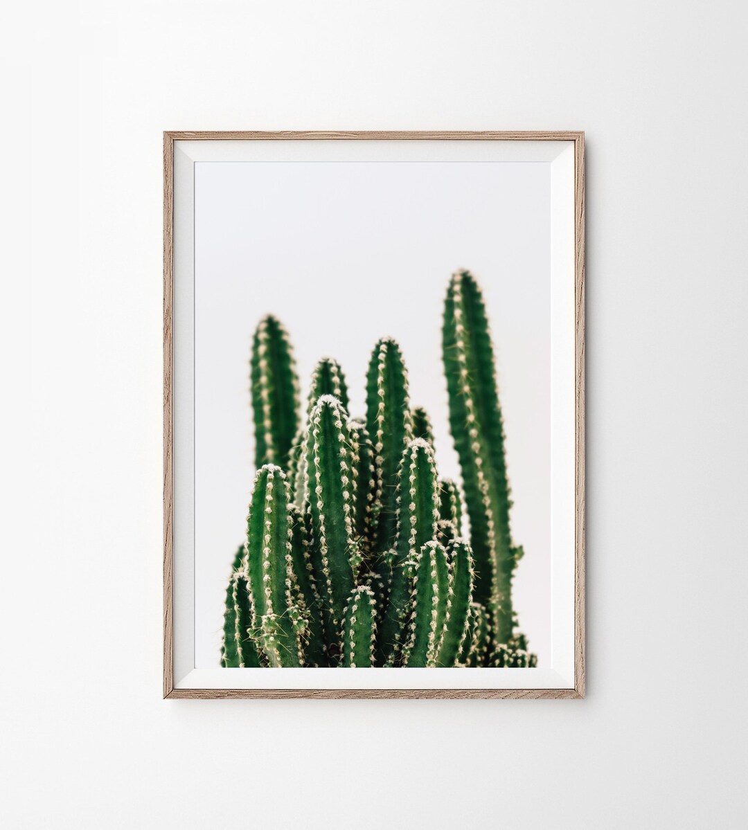 Cactus Print, Cactus Digital Download, Succulent Poster, Beach ...