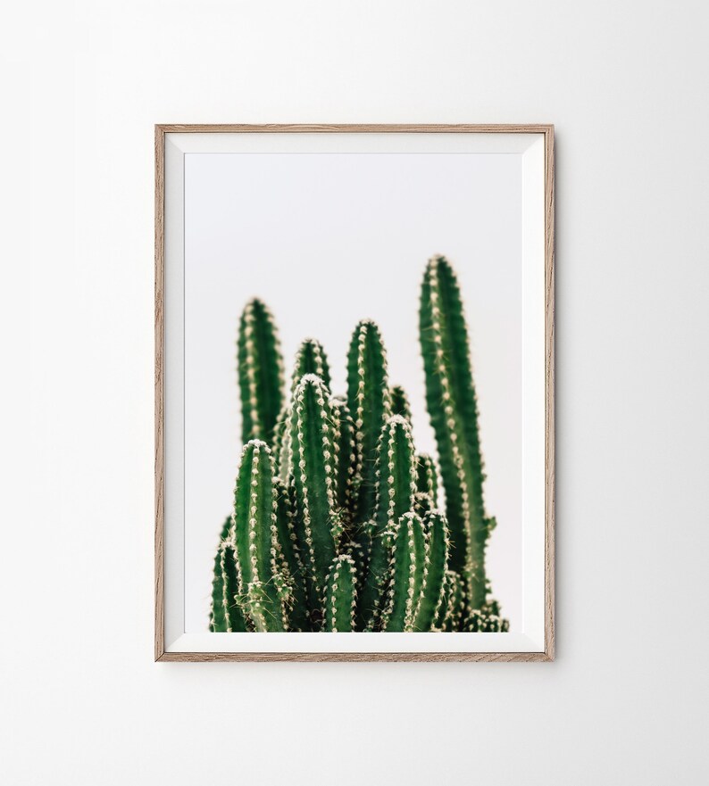 Cactus Print, Cactus Digital Download, Succulent Poster, Beach ...