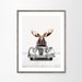 Moose in a Car, Moose Driving a Car, Funny Animal, Funny Wall Art ...