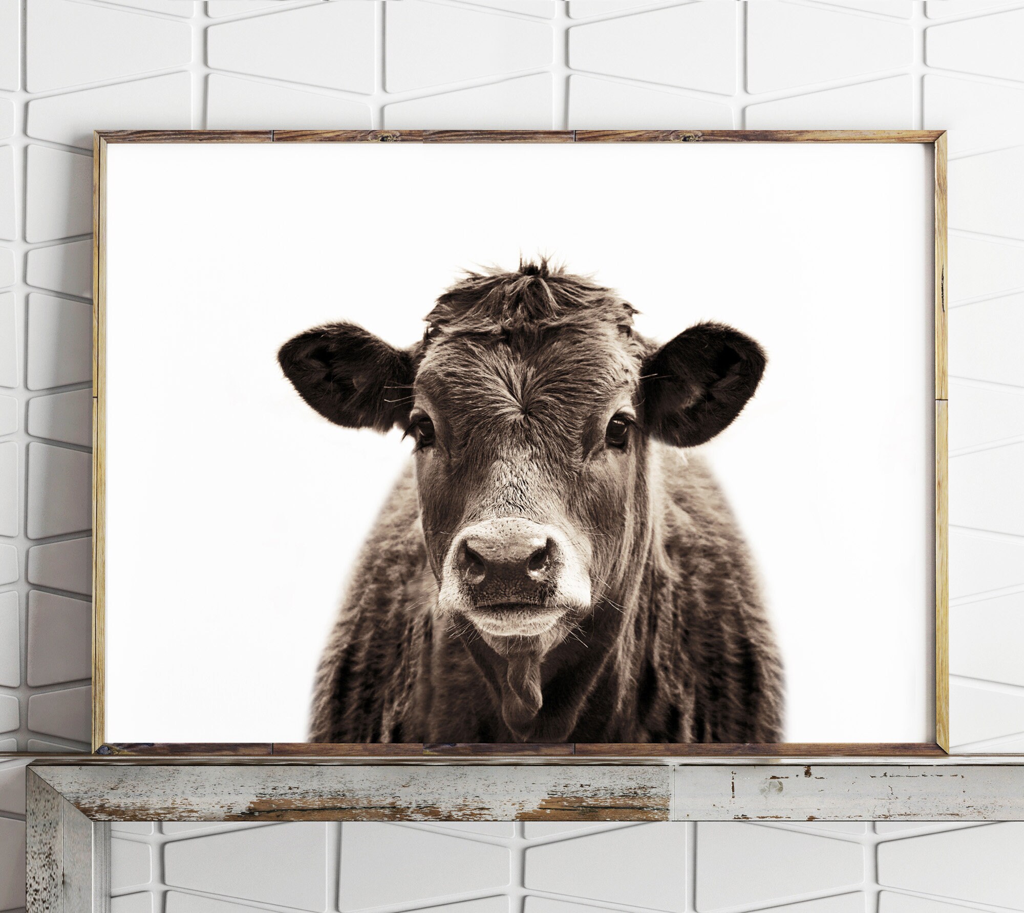 Cow Print Brown Cow Print Animal Photo Animal Poster Farm | Etsy