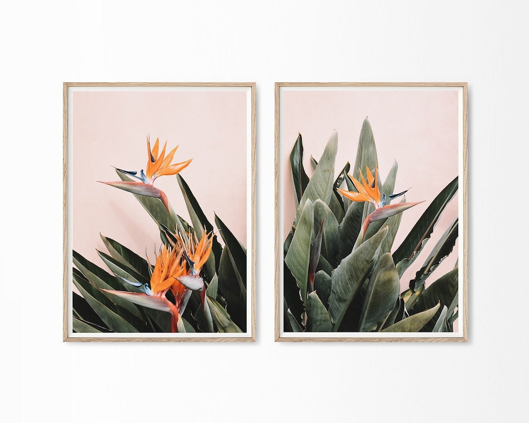 Sterlitzia Print, Set of 2 Prints, Prints Set, Tropical Wall Art ...