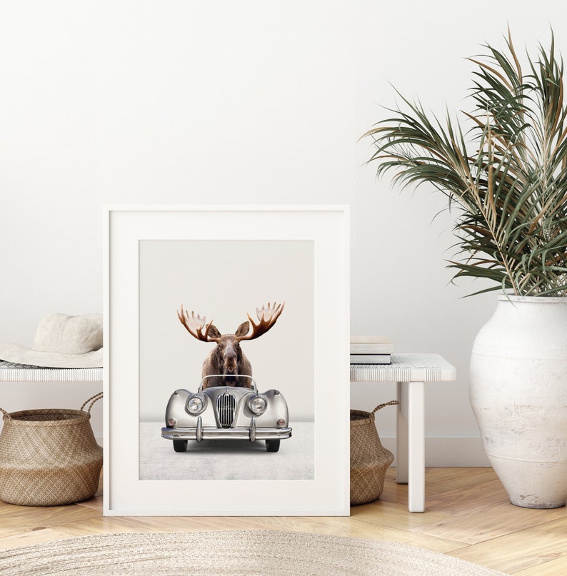 Moose in a Car, Moose Driving a Car, Funny Animal, Funny Wall Art ...