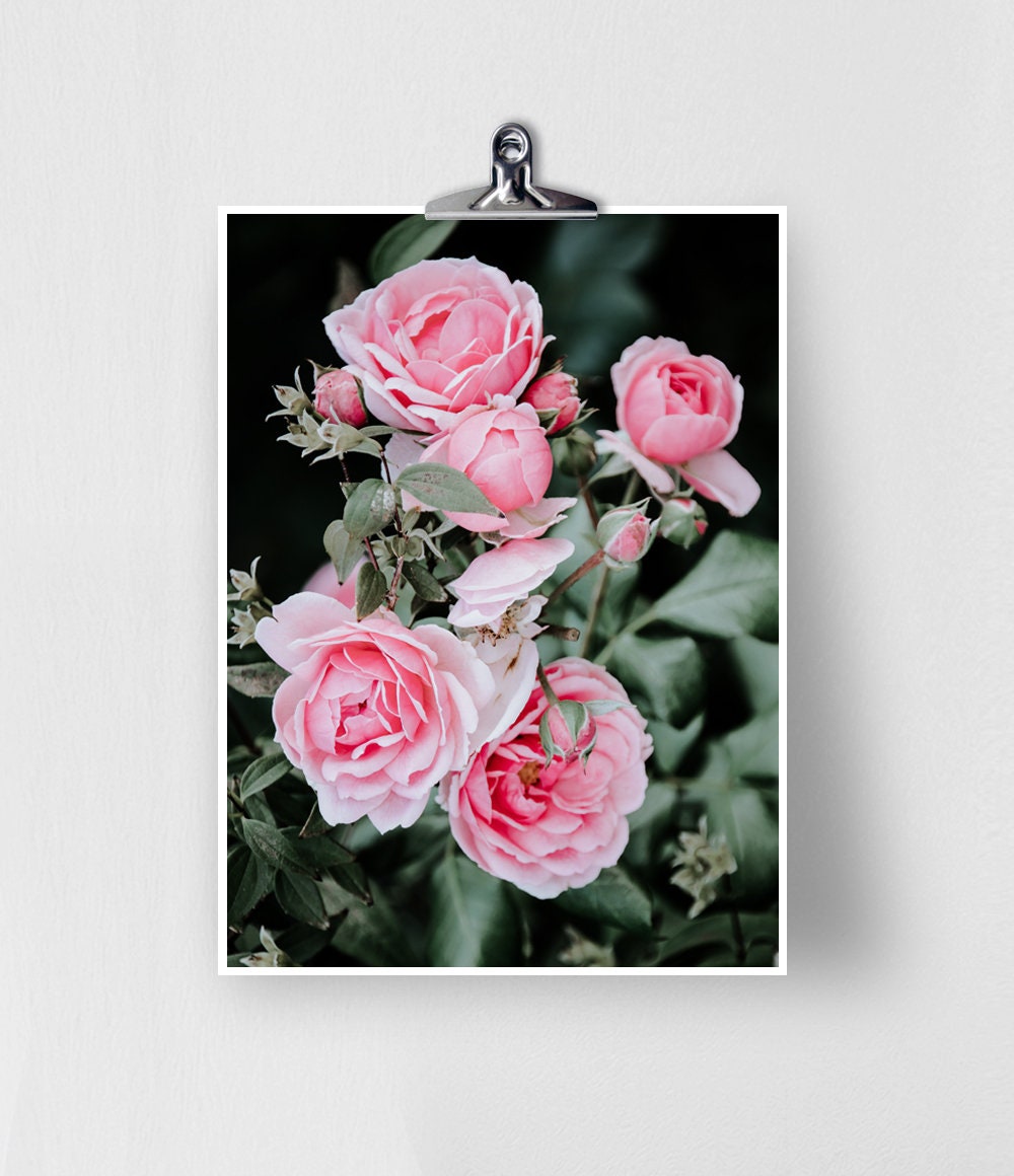 Roses Print Roses Wall Art Printable Flowers Floral Print - Etsy UK