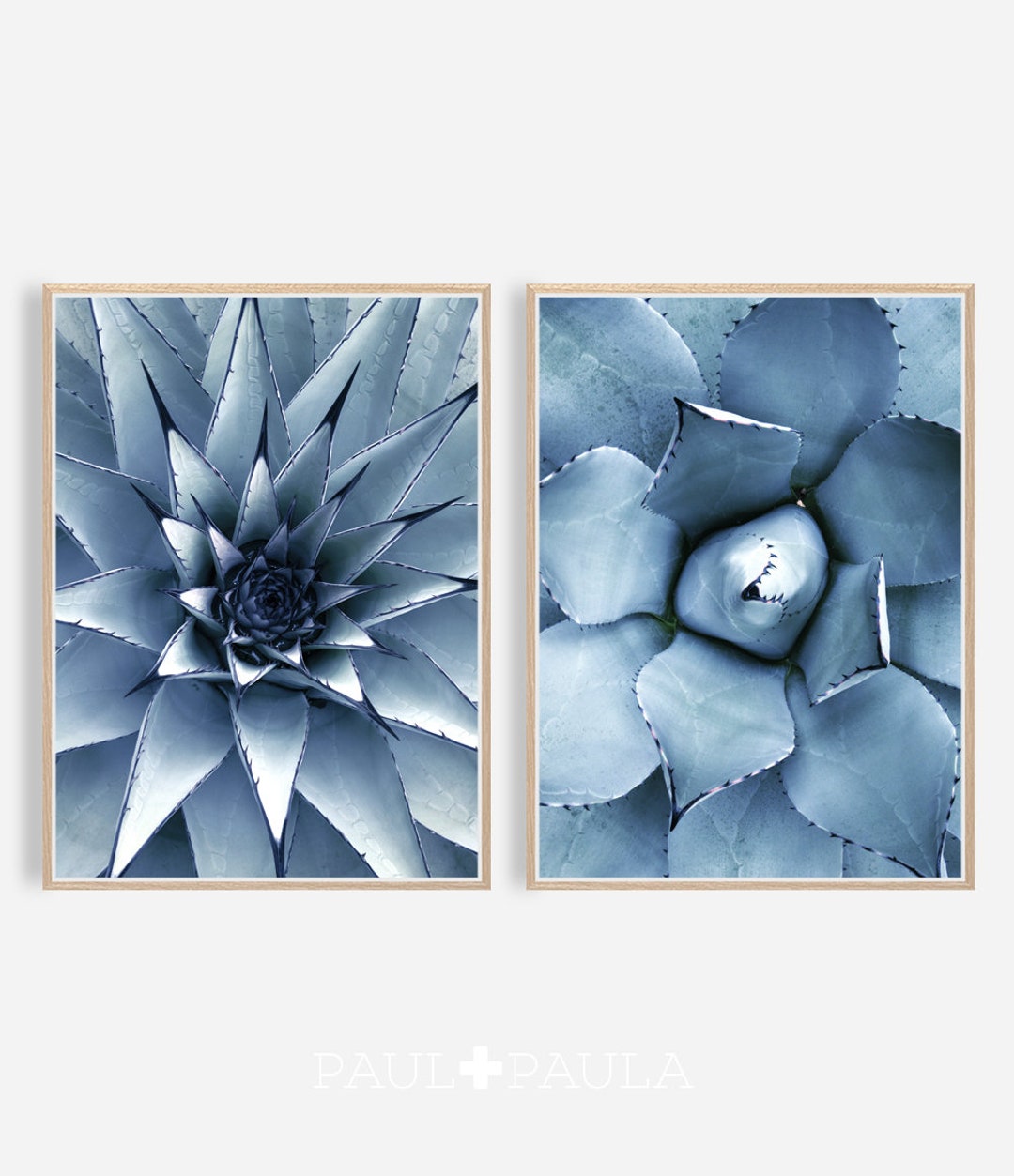 Succulent Print, Print Set of 2, Succulent Prints, Succulent Wall Art ...