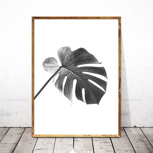 Monstera Print, Black and White Prints, Leaf Print, Plant Poster ...