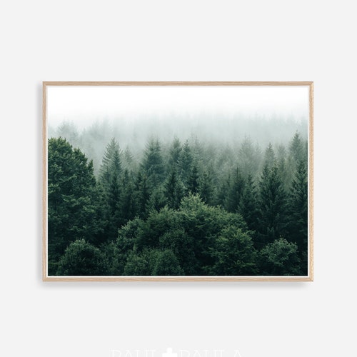 Forest Print Digital Download Forest Printable Wall Art Home - Etsy