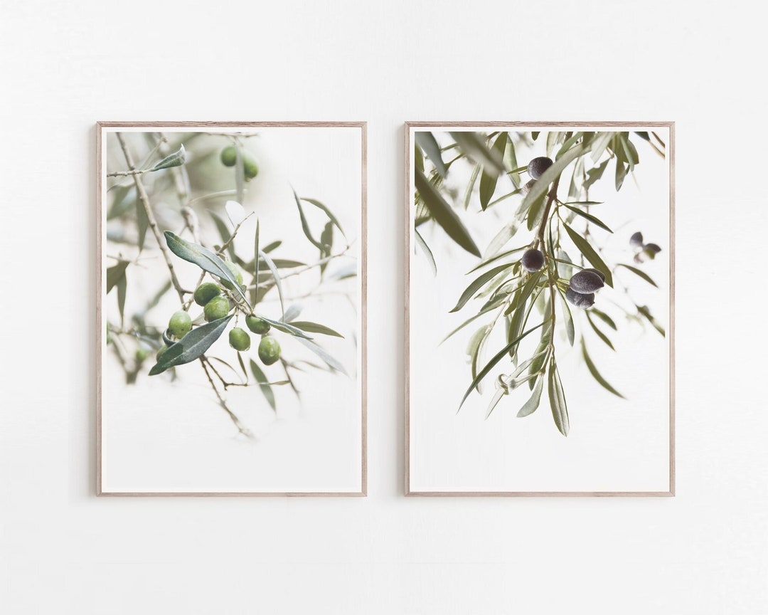 Olives Poster, Botanical Print Set of 2, Olive Branch Print, Instand ...