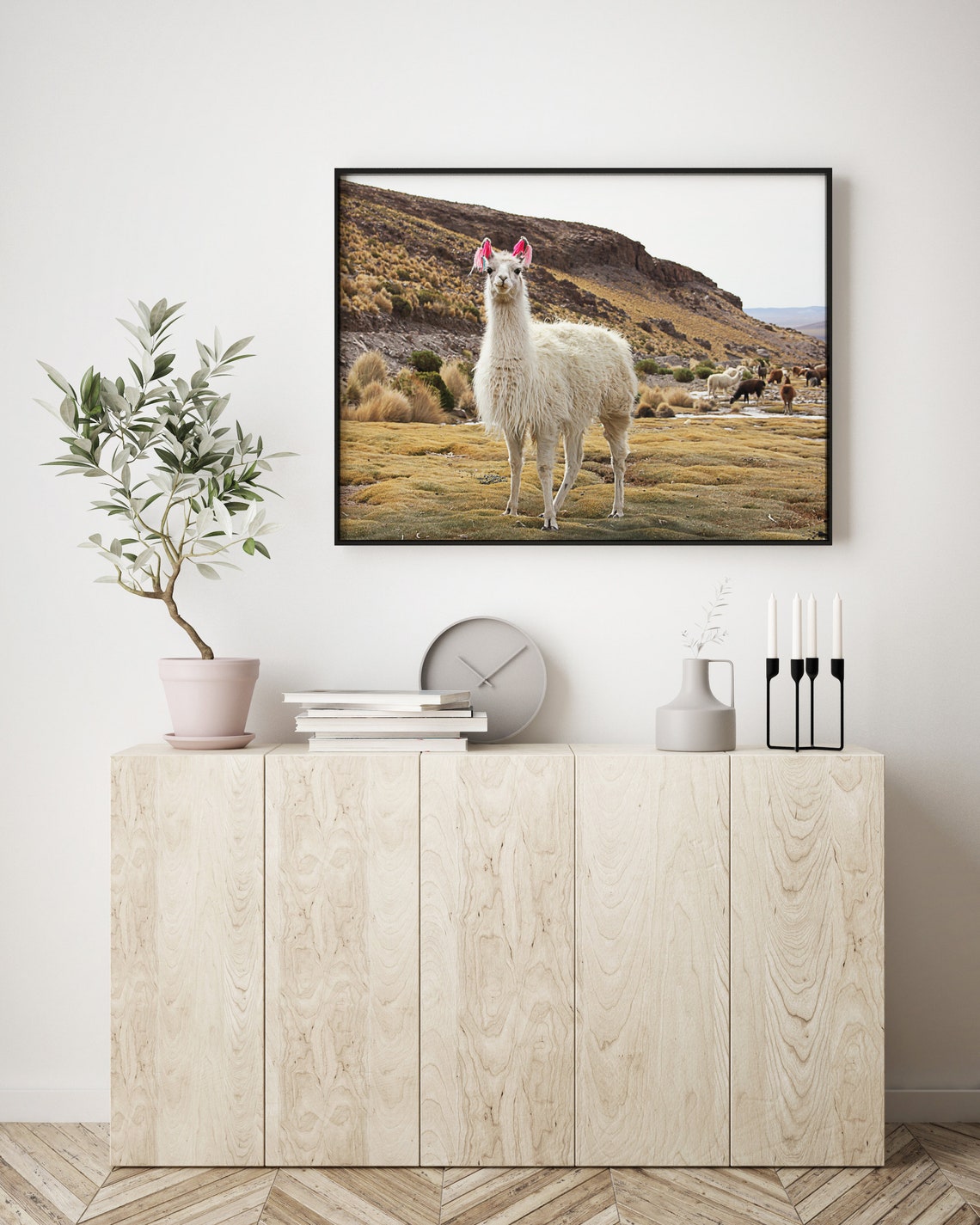 Llama Print Alpaca Print Printable Animal Photo Animal | Etsy