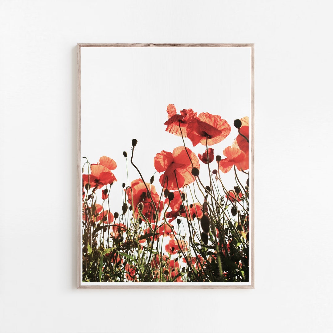 Red Poppies Print, Red Poppy, Wildflowers Print, Instant Download ...