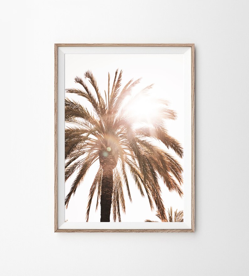 Palm Tree Print Palm Sunlight Print California Palm Wall | Etsy