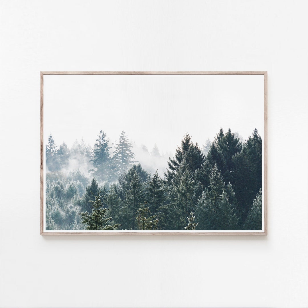 Forest Print, Landscape Photography, Forest Printable, Nature Prints ...