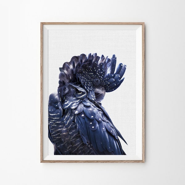 Black Cockatoo Etsy