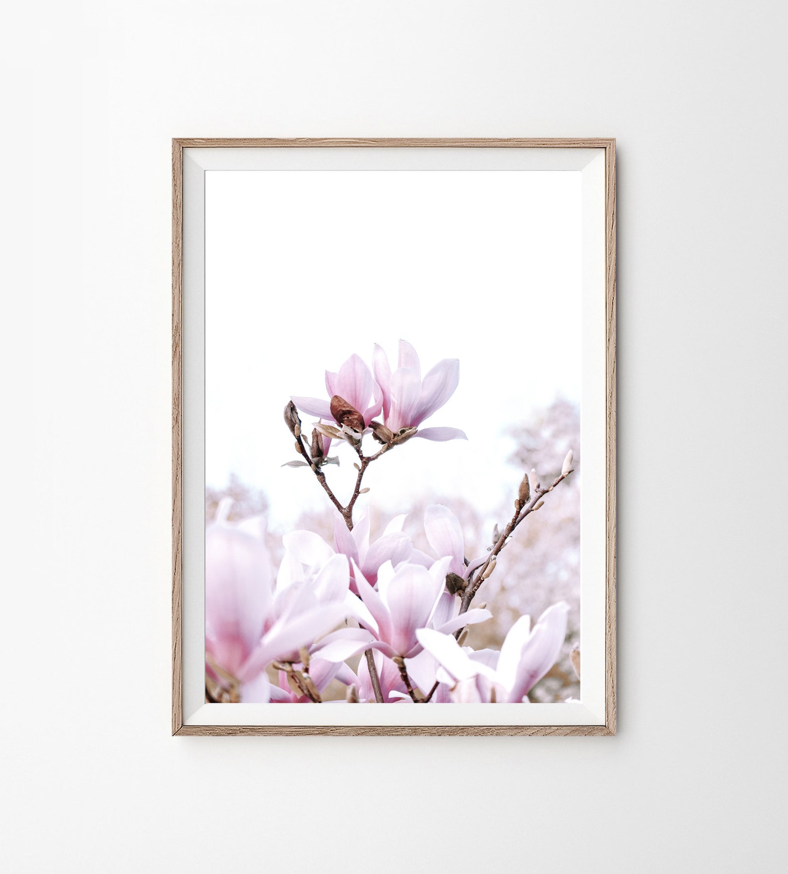 Magnolia Print Flower Print Magnolia Art Print Magnolia - Etsy