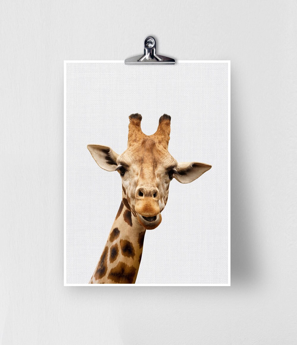 Giraffe Print Giraffe Digital Download Giraffe Printable | Etsy