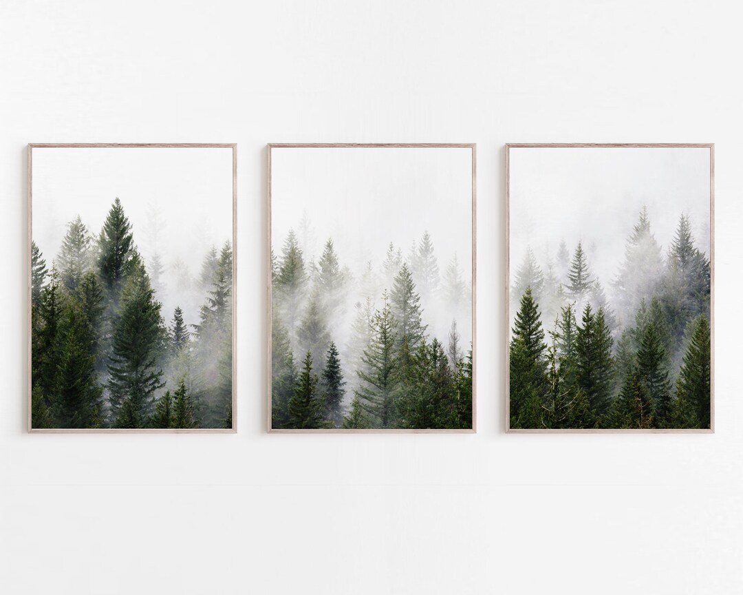 Forest Print Set of 3, Forest Photography, 3 Piece Landscape Print ...