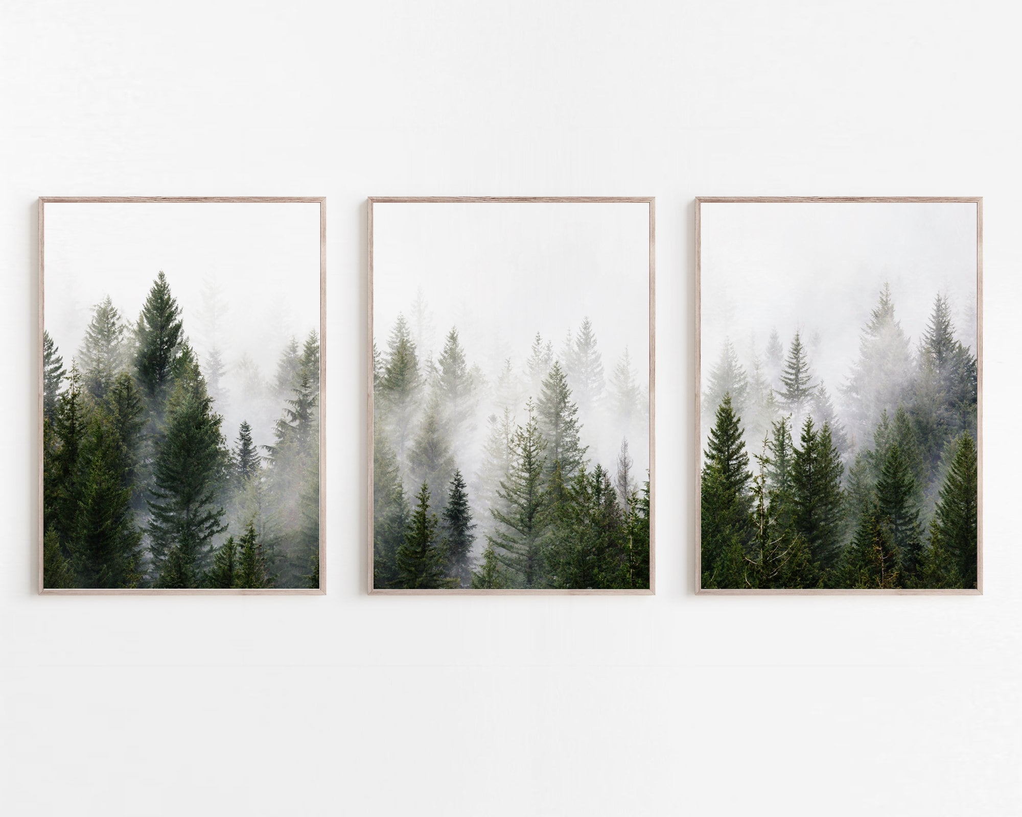 Forest Print Set of 3 Forest Photography 3 Piece Landscape | Etsy