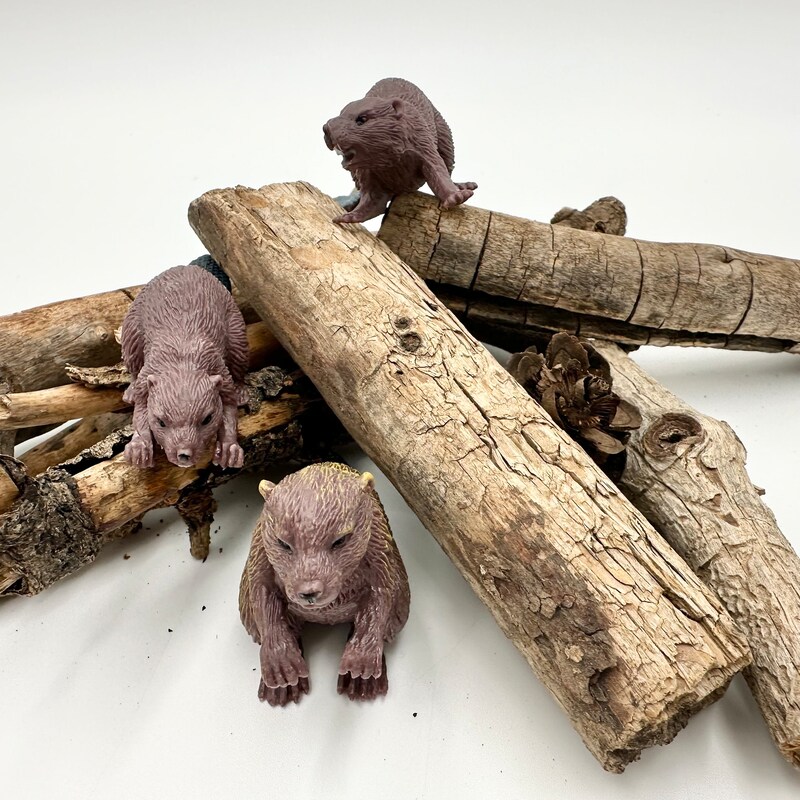 Miniature Beaver - Etsy