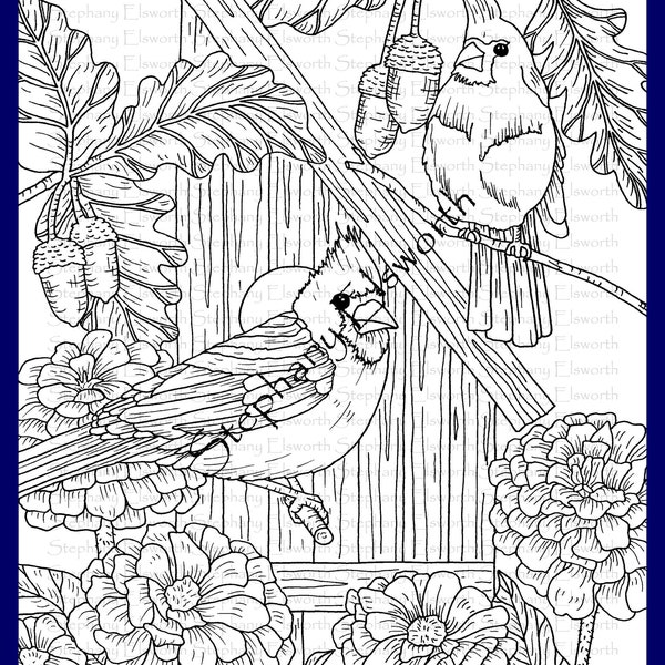Blossoms and Birds Coloring Book - Etsy