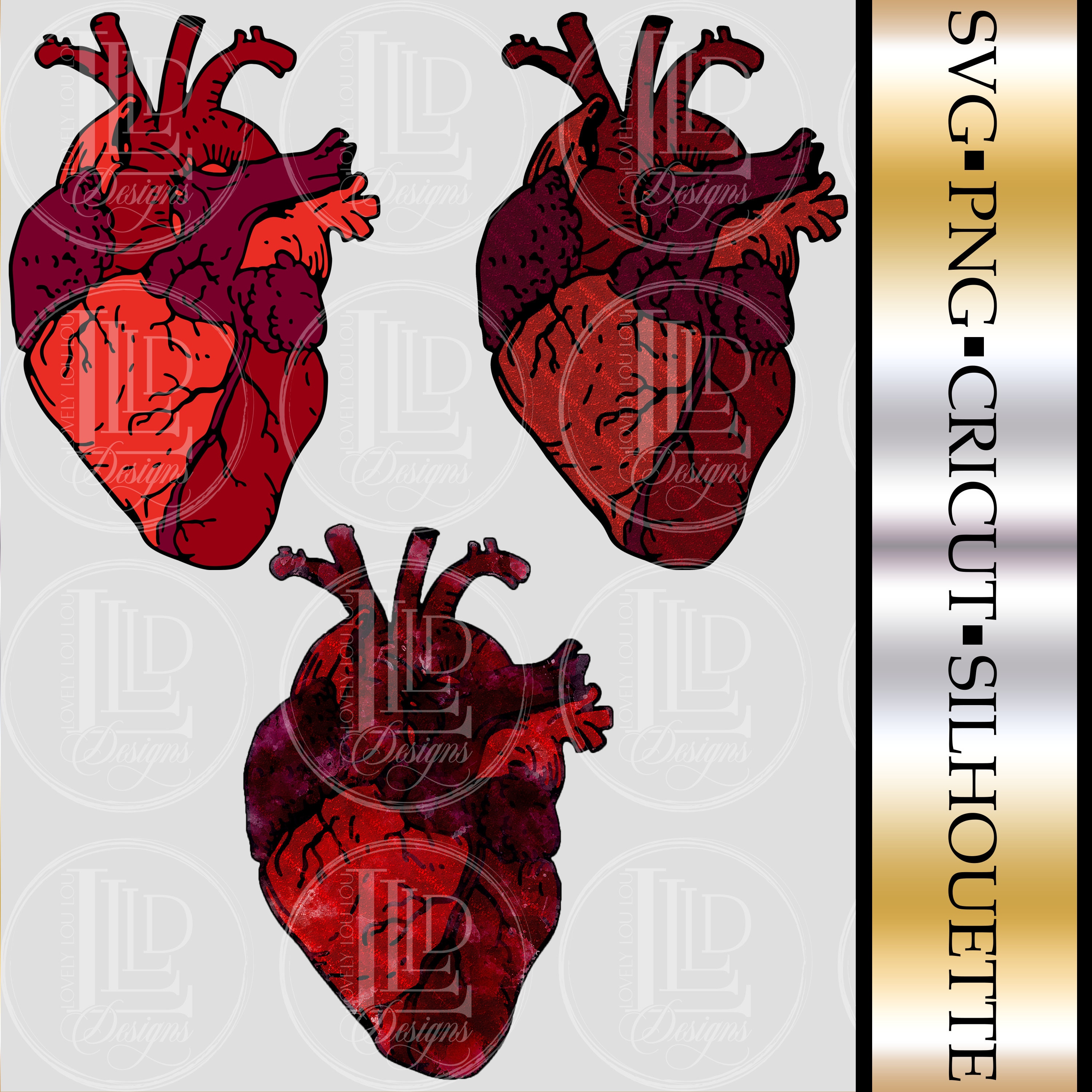 Red Anatomical Hearts Digital PNG Cricut Silhouette | Etsy