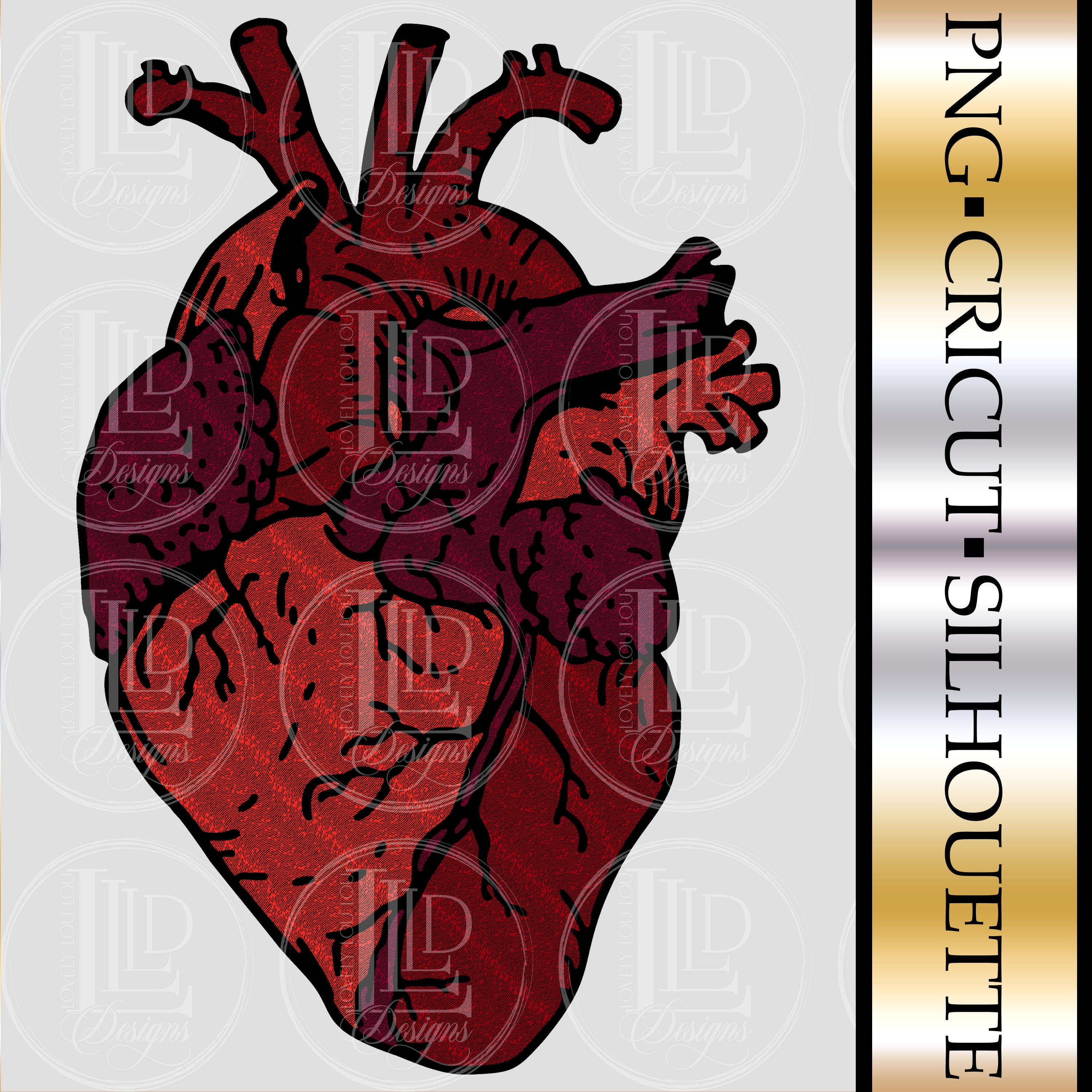 Red Anatomical Hearts Digital PNG Cricut Silhouette | Etsy