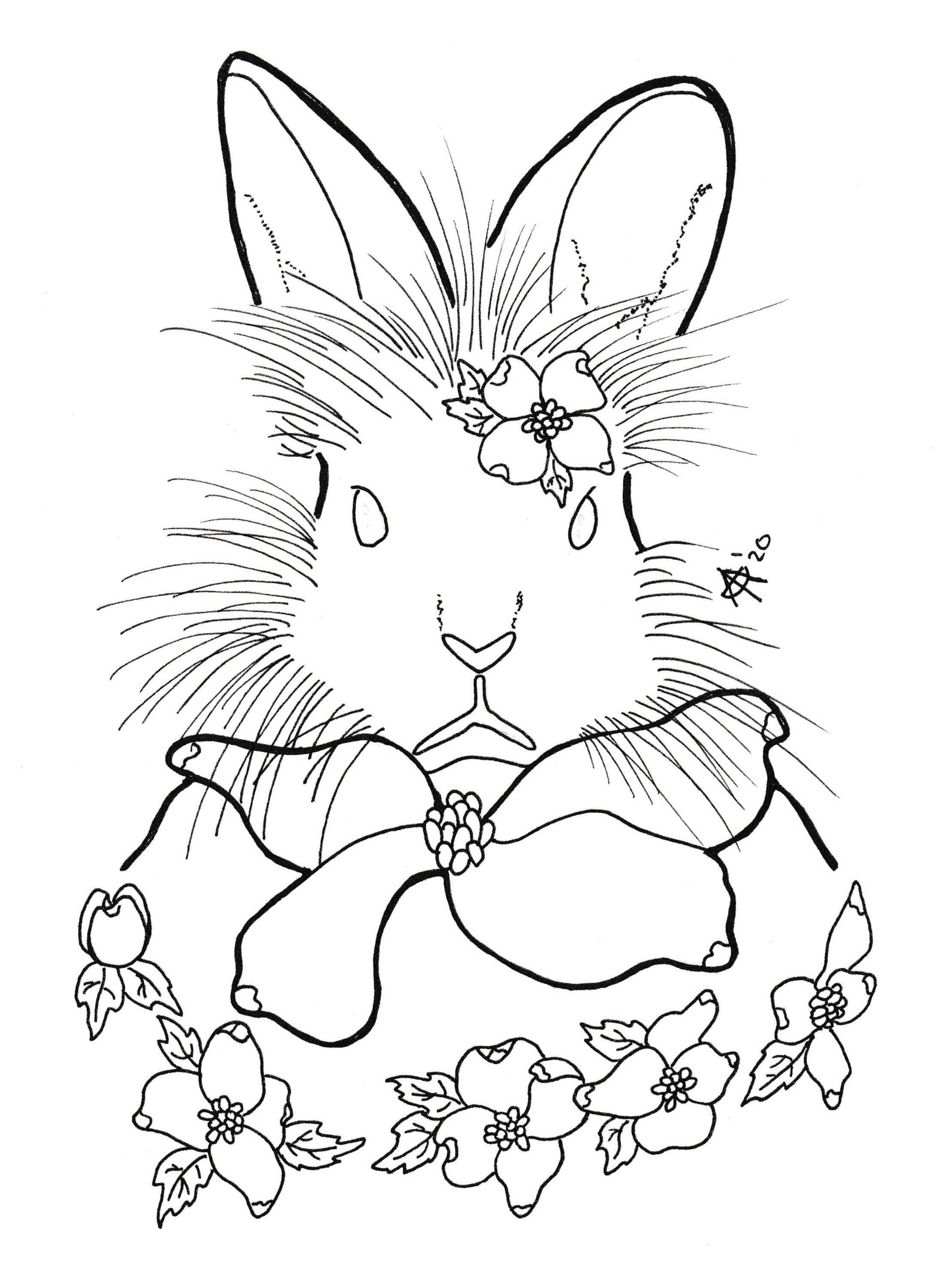 Lionhead Rabbit With Dogwood Black and White Line Work Art Print 8x10 ...