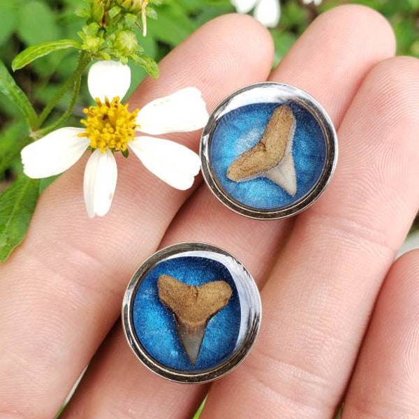Shark Plugs - Etsy