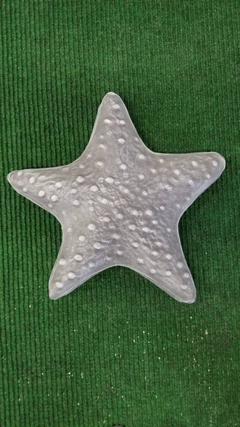 Star Fish Stepping Stone - Etsy