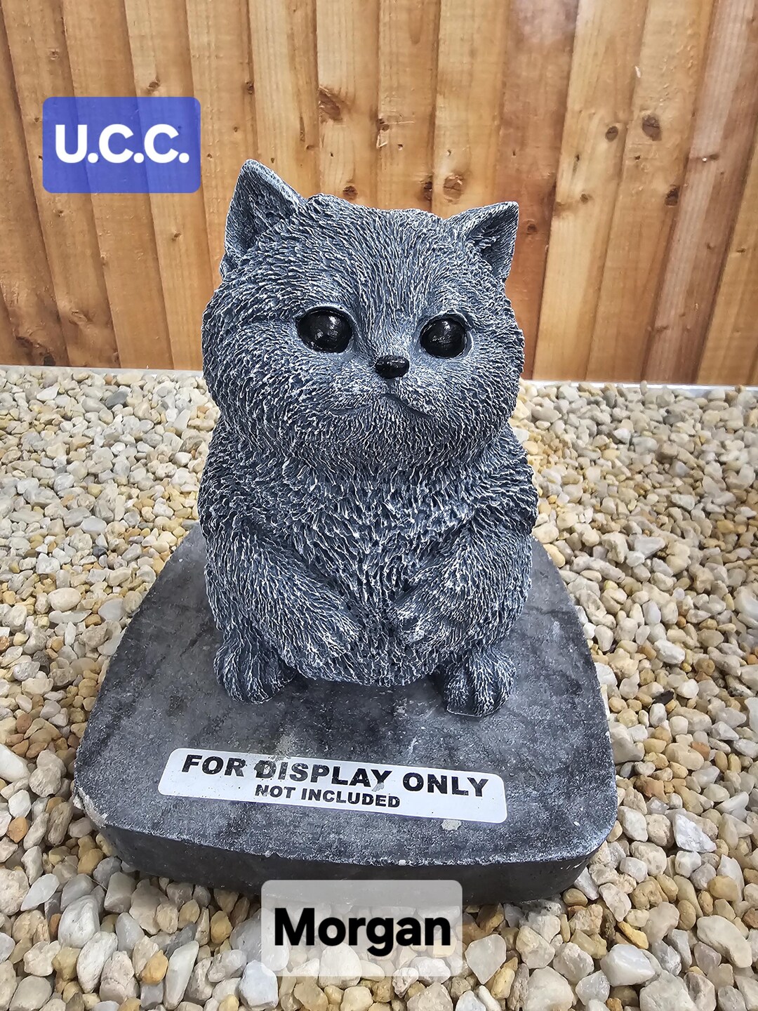 Morgan the Cat - Etsy