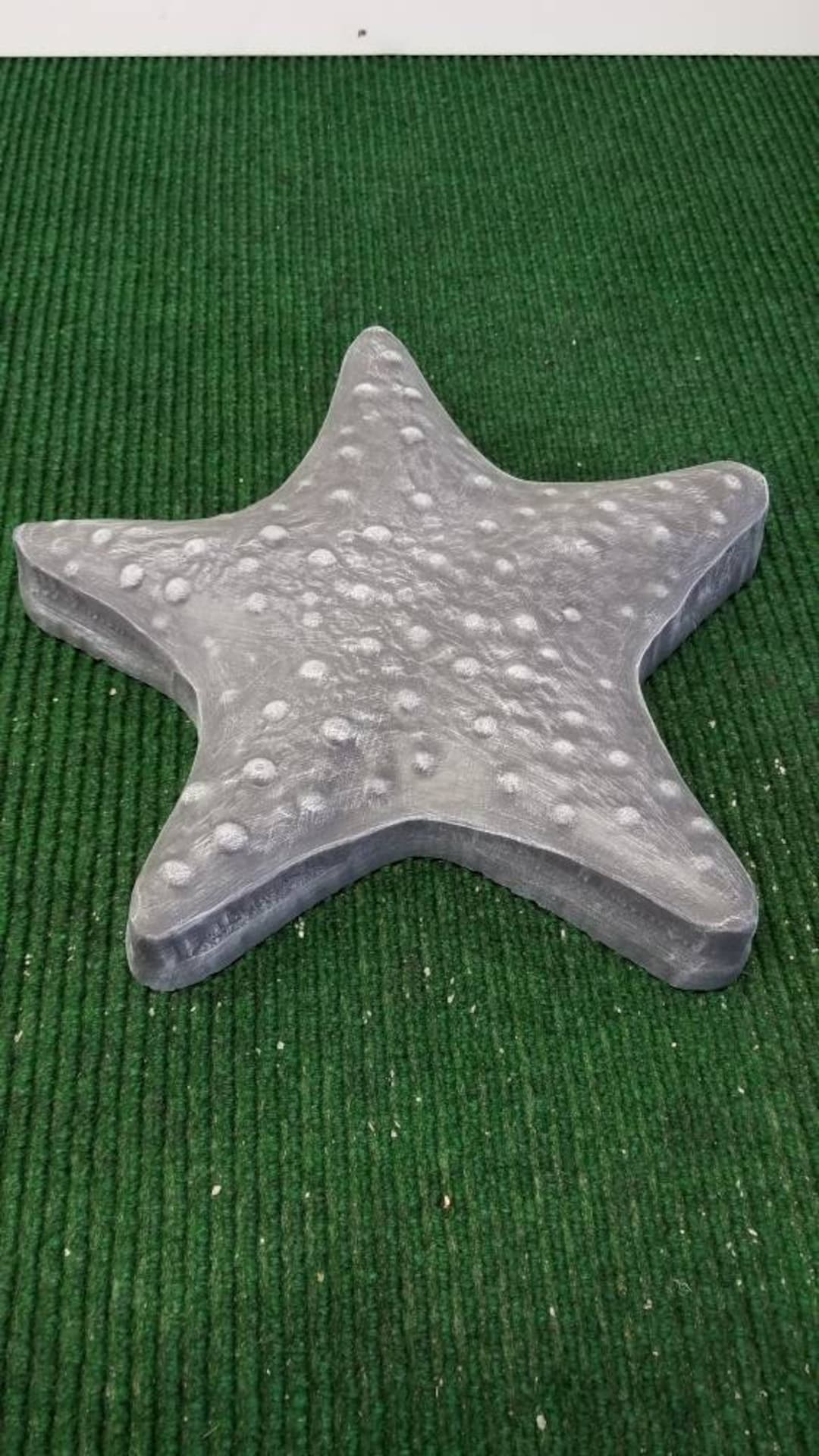 Star Fish Stepping Stone - Etsy