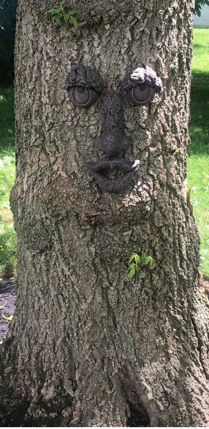 Tree Face - Etsy