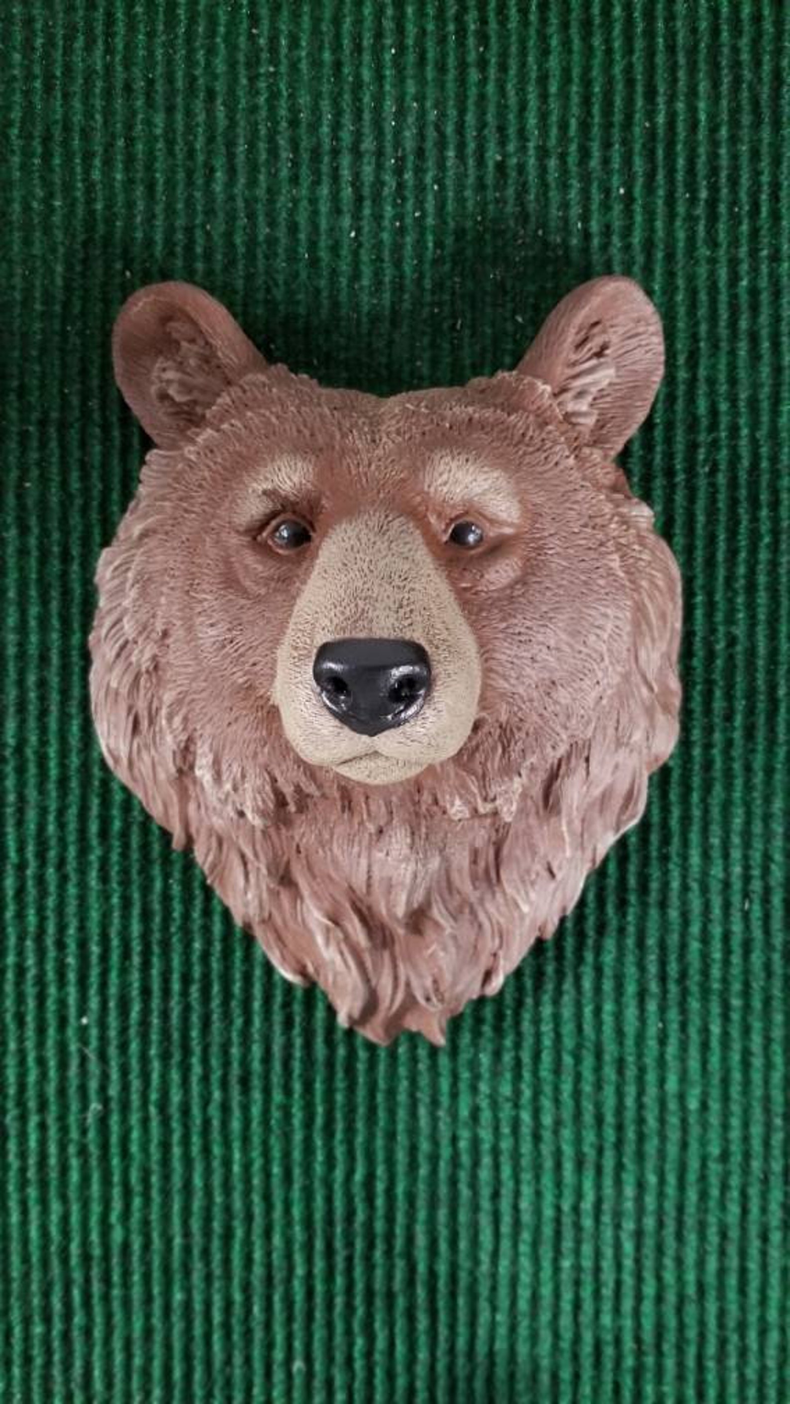 Bear Head Wall Mount - Etsy