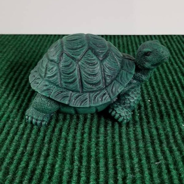 Box Turtle - Etsy