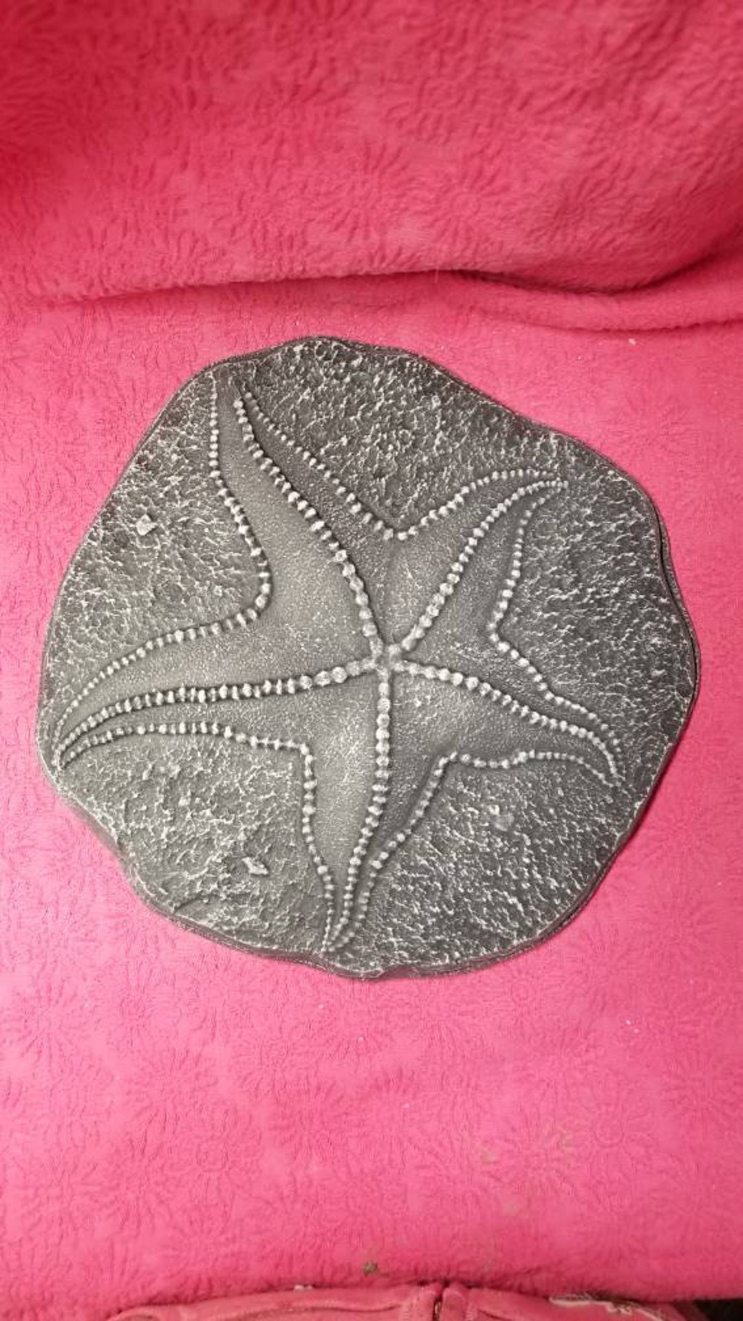 Star Fish Stepping Stone - Etsy