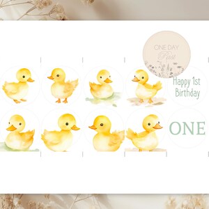 Duckling 1st Birthday Cupcake Toppers EDITABLE Instant Download Farm ...