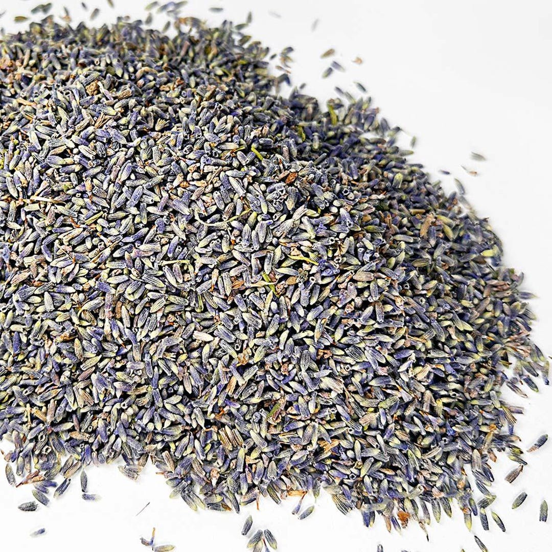 Premium Super Blue French Lavender – Bulk Dried Lavender Flowers - Etsy