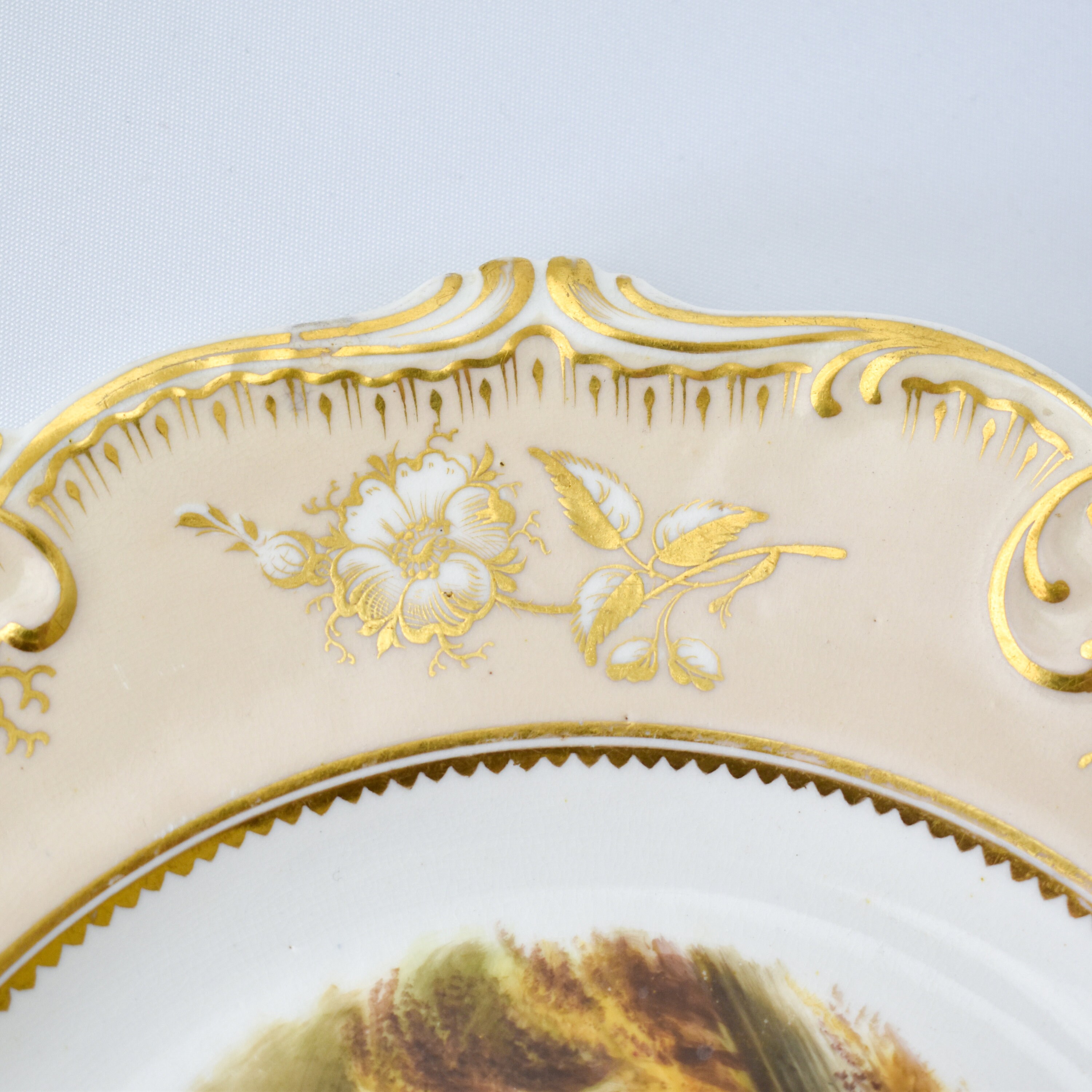 RARE H&R Daniel Queen's Shape Topographical Hand Painted Plate Circa ...