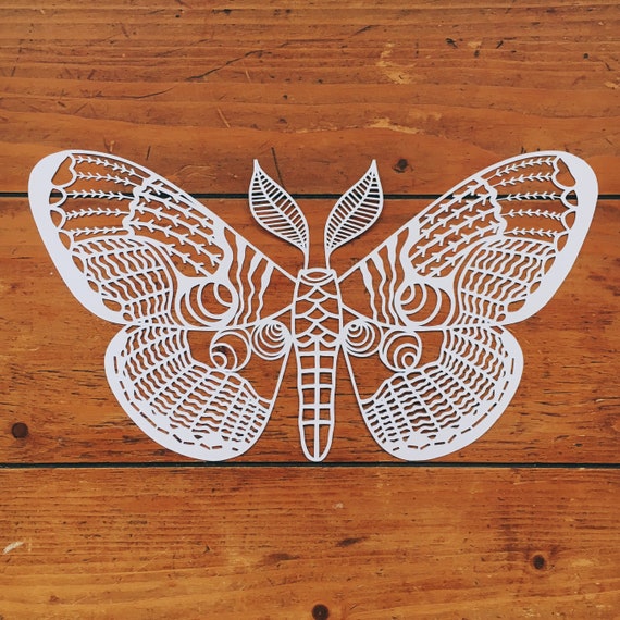 Moth Papercut Handcut - Etsy