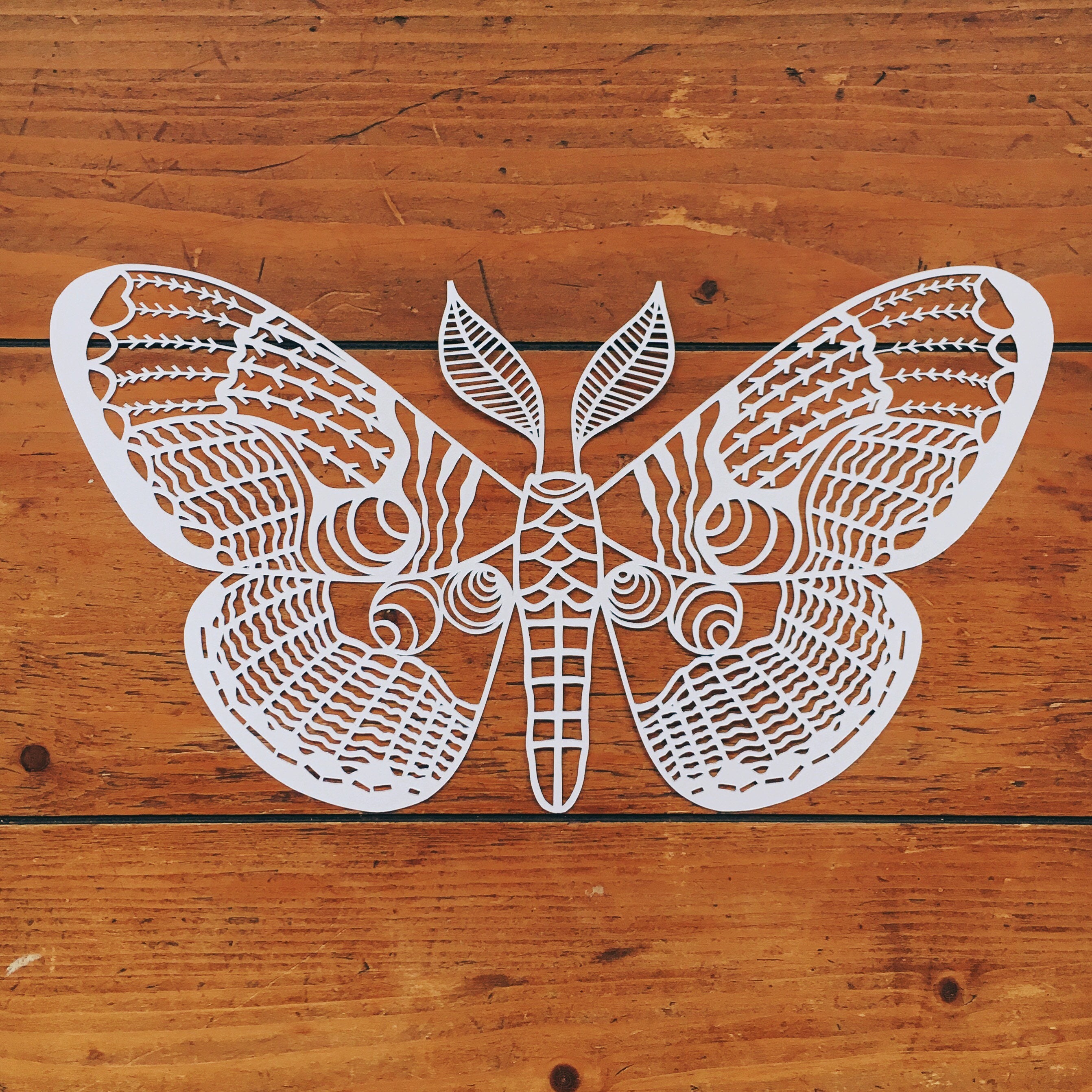 Moth Papercut - Handcut - Etsy