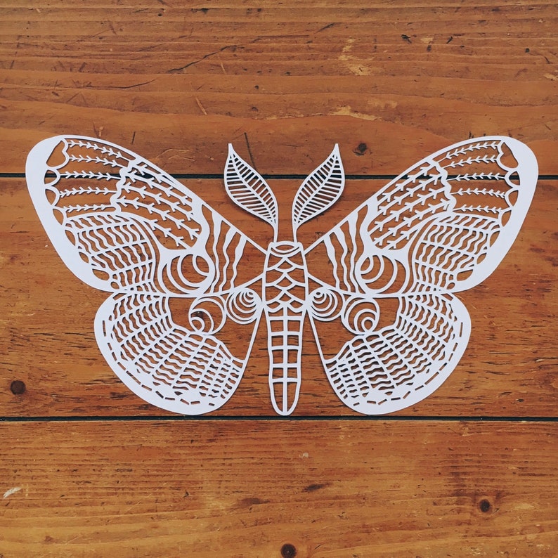 Moth Papercutting Template - SVG PDF JPG - Digital Download - Papercut ...