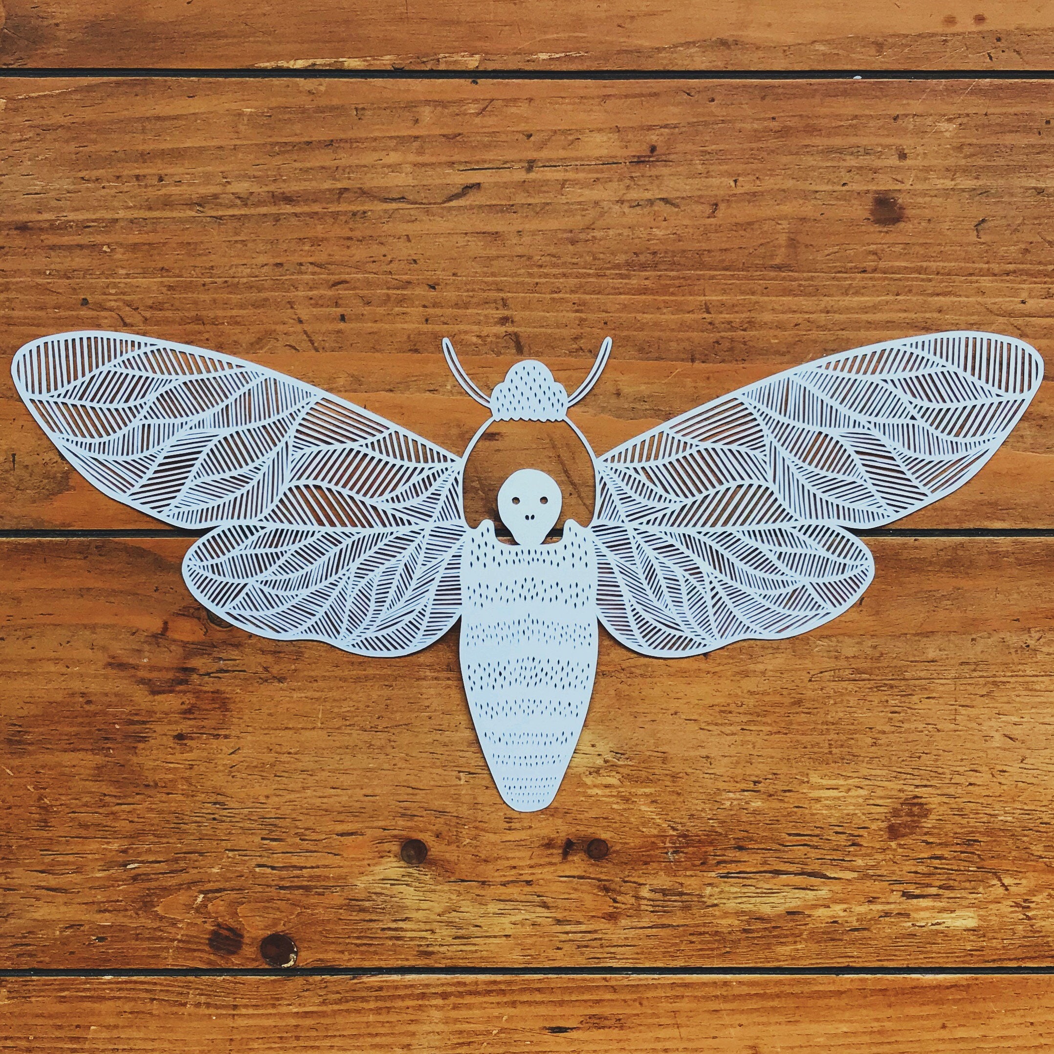 Moth Papercut - Handmade - Etsy