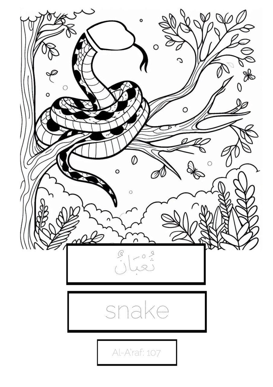 Digital Download - Arabic - Animals in the Qur'an - Coloring Page ...