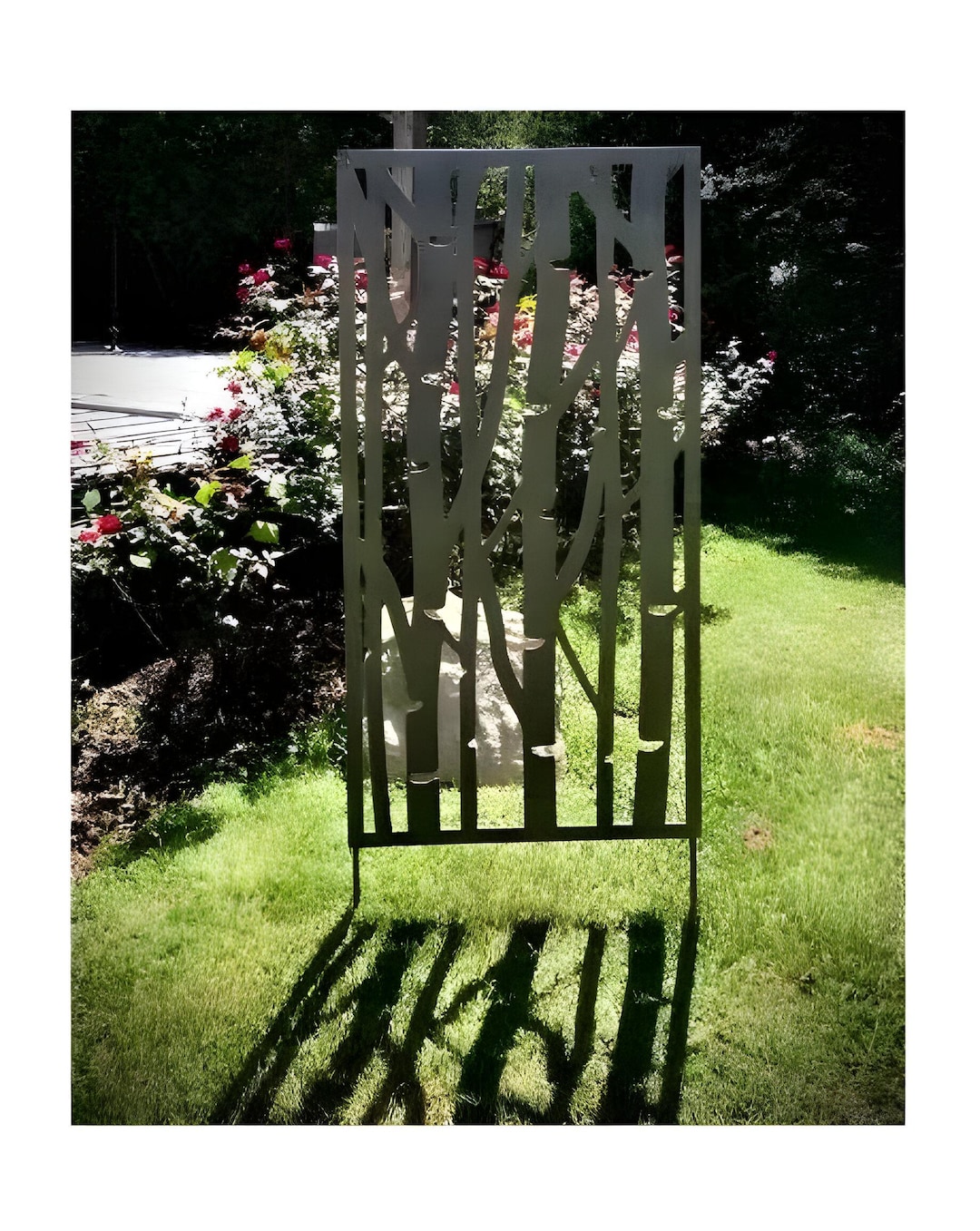 Birch Tree Metal Trellis/privacy Screen - Etsy