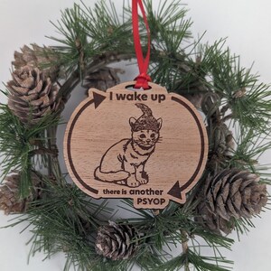 Tin Foil Hat Cat Meme Christmas Ornament: Conspiracy Theory Gift - Etsy